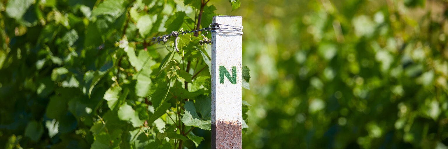 AGB | Weingut Nicklis